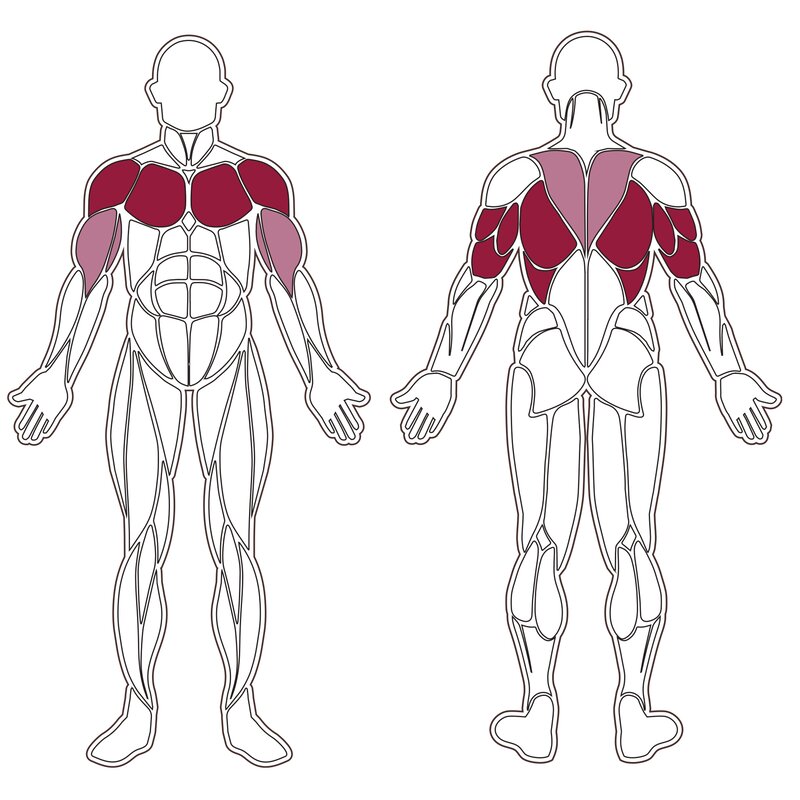 ASSISTED PULL UP/ CHIN UP/DIP (PLX-6350) Toorx | Kinissis.eu