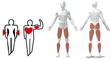 Κωπηλατικό Μηχάνημα | Kinissis.eu